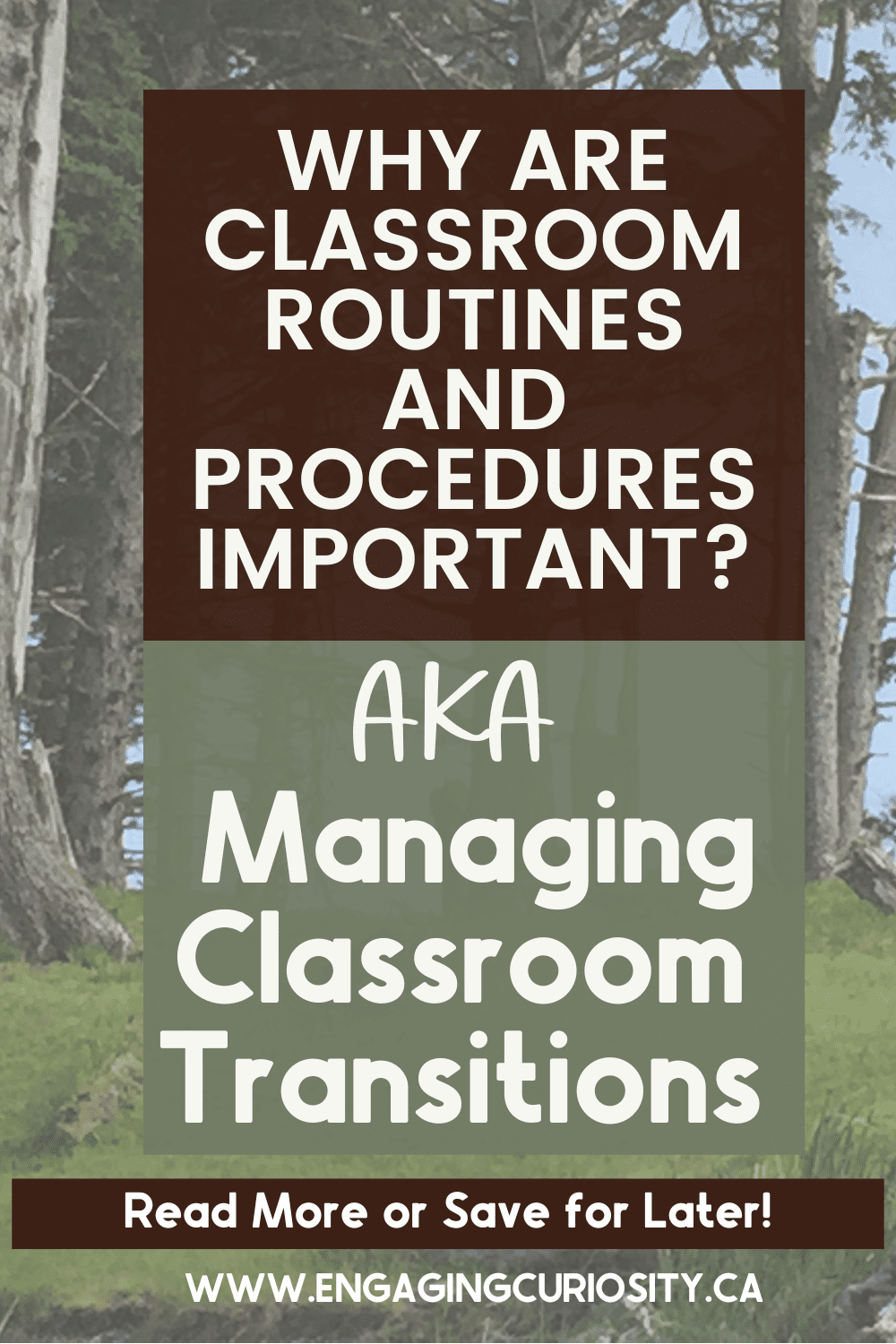 Why are Classroom Routines Important? Manage Transitions Now!